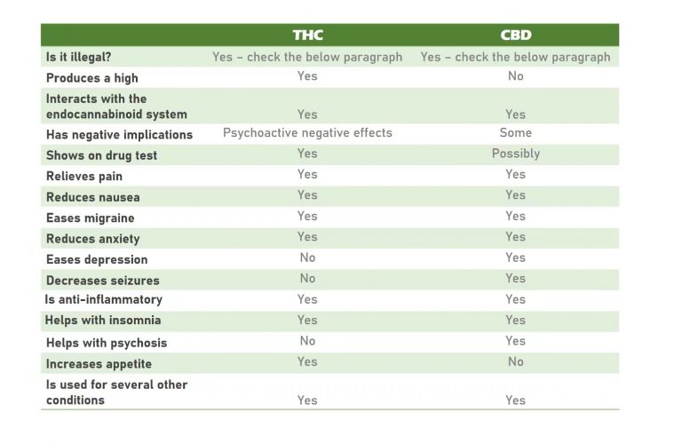 CBD vs THC: What’s the Difference? - My Vape Review