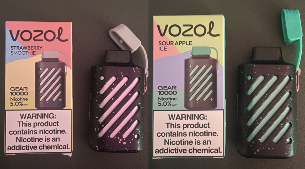 The Next Big Thing in Disposable Vape - The VOZOL Gear 10000 Product ...